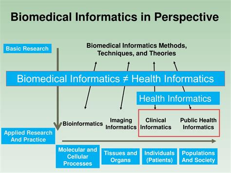 Ppt What Is Biomedical Informatics” Powerpoint Presentation Free