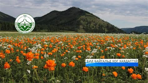 Хөвсгөл далай Жуулчны Бааз Хөвсгөл далай Жуулчны Бааз