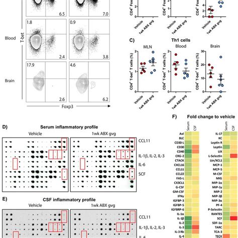1 Wk Abx Gvg Treated App Swe Ps1 Δe9 Mice Display Altered Peripheral