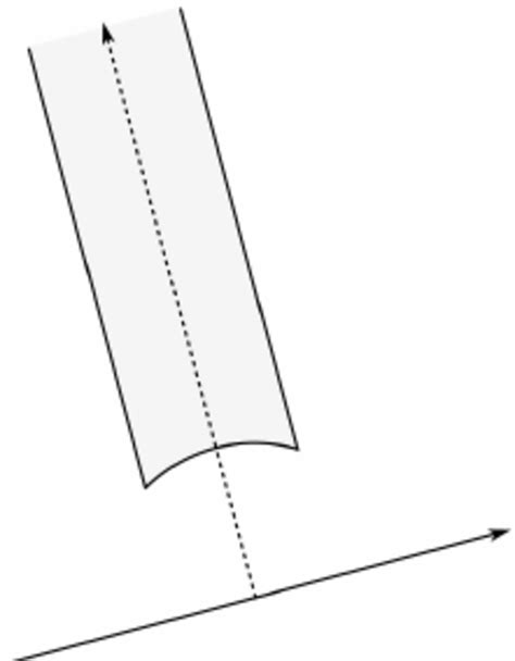 The Leaning Fundamental Domain Of Pisa Download Scientific Diagram