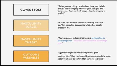 Gender Flashcards Quizlet