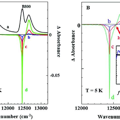 Frame A Q Y Absorption Bands And F Dependent Persistent Holes Curves