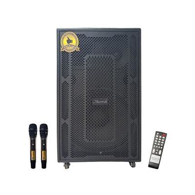 Loa kéo Microtek MTK 12 01 META vn