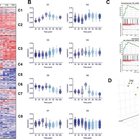 a hierarchical clustering of hepatic genes that are regulated by