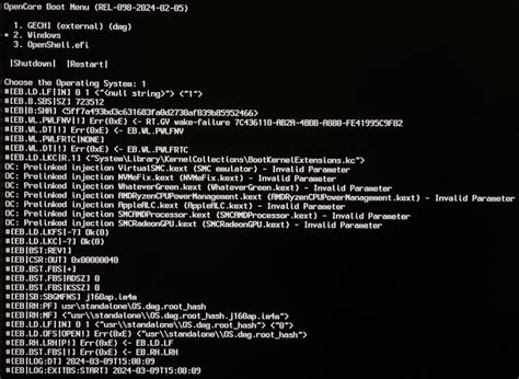 Invalid Parameter For Every Kext Rhackintosh