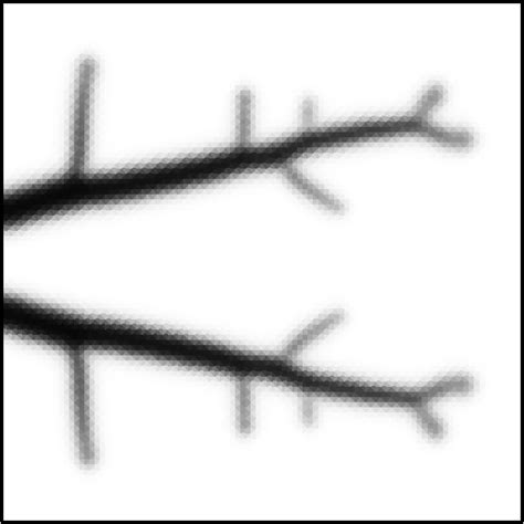 Examples And Test Suite Null Space Optimizer 120 Documentation