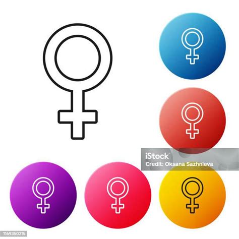 흰색 배경에 격리 된 검은 색 선 여성 성별 기호 아이콘입니다 금성 기호입니다 여성 유기체 또는 여성의 상징 아이콘 다채로운 원 버튼을 설정합니다 벡터 일러스트레이션 0명에