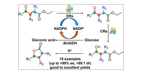 Dual Enzyme Catalyzed Stereoselective Synthesis Of Chiral Aromatic Polysubstituted γ
