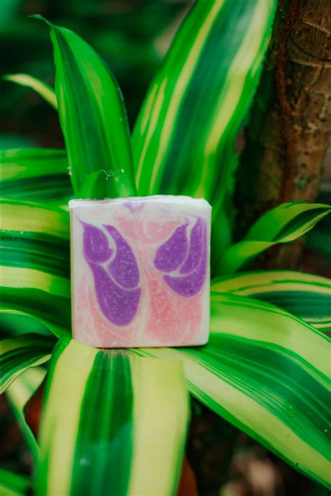 고사리 식물 고사리 잎 꽃무늬 벽 예술 나뭇잎 녹색 벽화 녹지 무성한 녹지 무성한 초목 벽돌 벽 벽화 생생한 색상 선명한 색상 수직 벽화 수직 쐈어