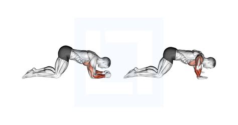 Modified Push Up To Forearms Guide Benefits And Form