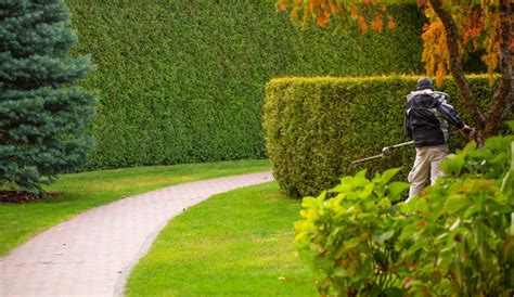 Benefits Of Installing Artificial Grass Landscapers And Lawn Care Baton Rouge Hernandez Lawnscape