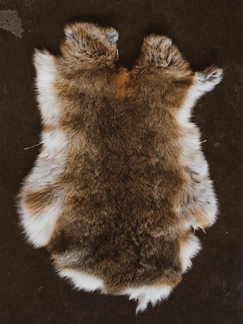 12 Assorted Rabbit Pelt Ta101 Black Moth