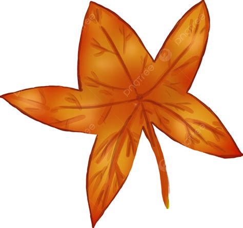 단풍잎 일러스트 이파리 잎 텍스처 테두리 Png 일러스트 및 Psd 이미지 무료 다운로드 Pngtree