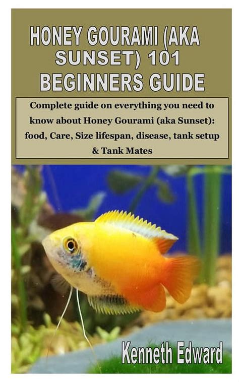 Honey Gourami