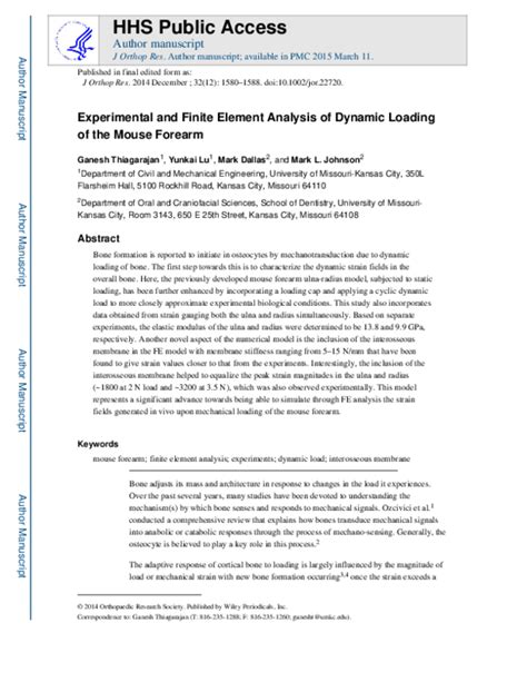 Pdf Experimental And Finite Element Analysis Of Dynamic Loading Of The Mouse Forearm