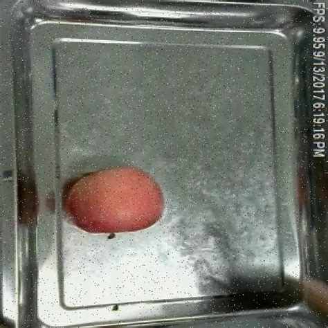 Deteksi Object Detection Dataset And Pre Trained Model By Proygrado