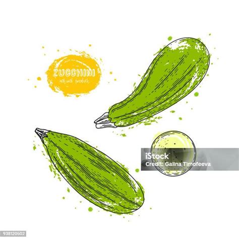 벡터 호박 손 조각의 스타일에 그려진된 그림 자세한 채식 음식 그림입니다 농장 시장 제품입니다 그런 지 일러스트 레이 션에 대 한 요리법 부엌 용품과 장식 메뉴를 만듭니다