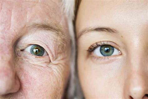 How To Use Semaglutide Proper Dosage And Frequency Glp 1 Health