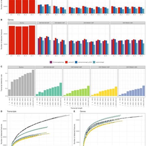 Detection Of Annotated Transcripts And Genes A B Number Of Detected