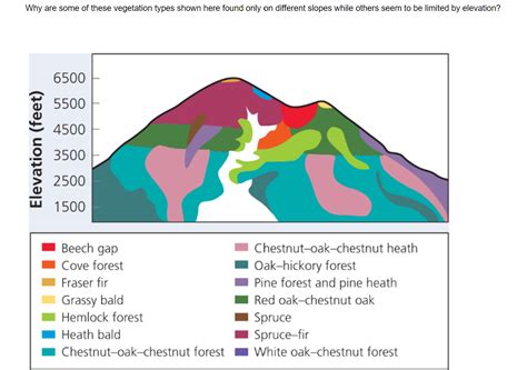 Solved Why Are Some Of These Vegetation Types Shown Here