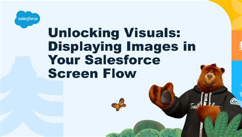 Unlocking Visuals Displaying Images In Your Salesforce Screen Flow