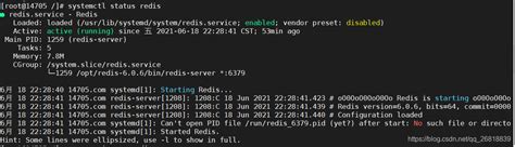 实现linux（centos7）下的redis开机自启动centos7 Redis自启动 Csdn博客