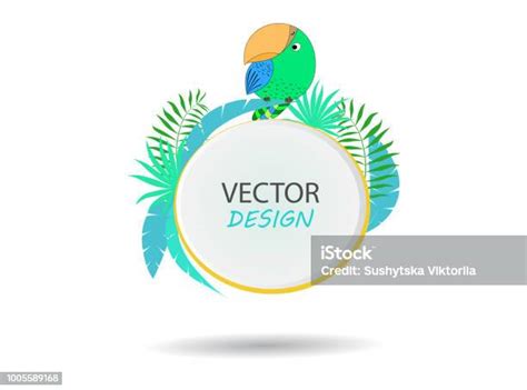 앵무새와 벡터 배너입니다 문자로 텍스트 프레임입니다 텍스트에 대 한 카툰 프레임입니다 어린이 위한 배너의 디자인입니다 열 대