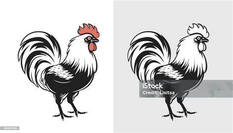 수탉 그래픽 디자인 그런지 라벨 농장 및 제조 스티커 명단을 묘사합니다 닭고기 제품에 대한 그런지 라벨 농장 그림 수평아리 벡터 수탉에 대한 스톡 벡터 아트 및 기타 이미지