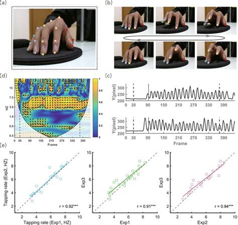 Recording And Quantification Of Automatic Finger Tapping Movements A Download Scientific