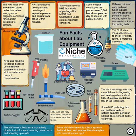 Medium Energy Accelerator Niche Office Solutions Ltd