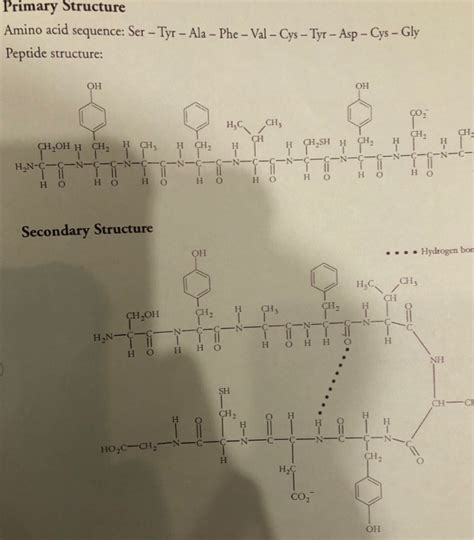 Solved Draw A Recte Around Two Different R Groups On The Chegg Com
