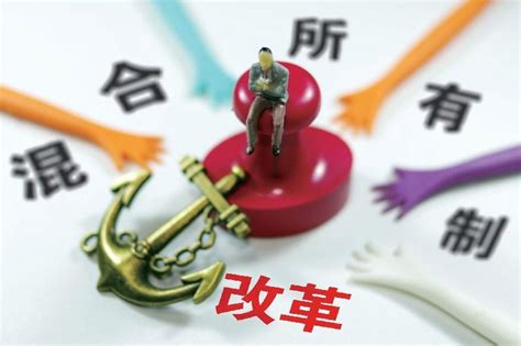 混合所有制经济新论出版发行 钱江潮评 浙江在线评论