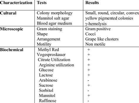 Cultural Microscopic And Biochemical Characteristics Of Staphylococcus Download Table