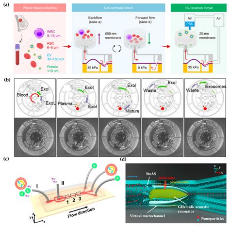 Label Free Microfluidic Based Ev Isolation Methods A Cascaded