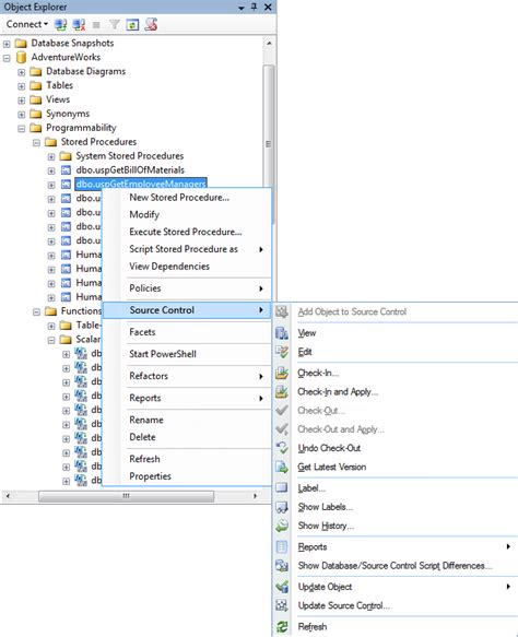 full database version control integration