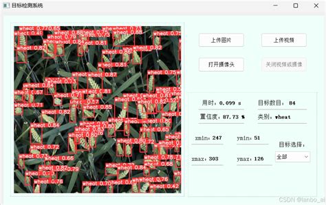 基于yolov8的小麦麦穗检测系统，支持图像、视频和摄像实时检测【pytorch框架、python源码】python图像判断小麦发芽率 Csdn博客