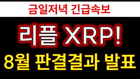 충격 8월에 드디어 리플 판결 종결 단독으로 결과 보여드릴게요 Youtube