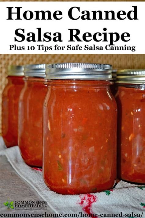 Home Canned Salsa Recipe Plus 10 Tips For Safe Salsa Canning