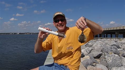 How To Catch Fish With A PVC Fishing Pole IT WORKS YouTube