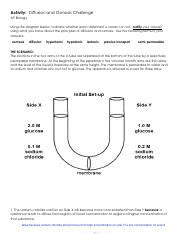 Activity Diffusion And Osmosis Challenge Pdf Activity Diffusion And