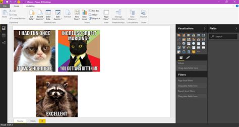 lady runa sql stitcher power bi custom visuals meme generator