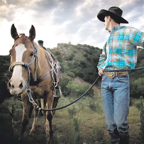 Download Cowbabe Pictures Wallpapers Com