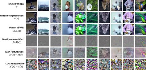 Figure 1 From Identity Disentangled Adversarial Augmentation For Self Supervised Learning