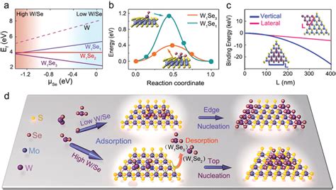 Schematic Of Controlled Heterostructure Growth And Dft Theoretical