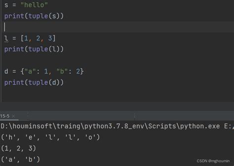 Python基本数据结构 元祖（16）查看tuple的维度 Csdn博客