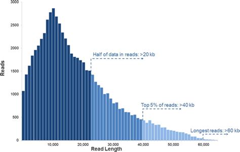 Pacbio Rs Ii Read Length Distribution Using P6 C4 Chemistry Data Are Download Scientific