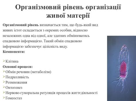 Рівні організації біологічних систем та їхній взаємозвязок Презентація Біологія