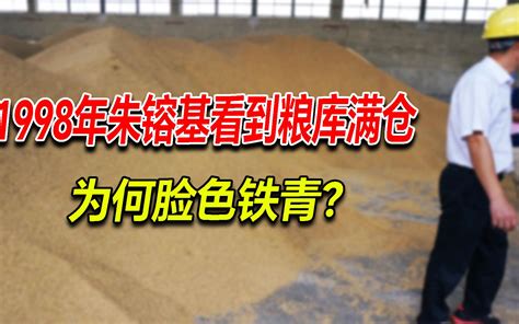 1998年朱镕基到安徽视察看到粮库满仓他为何脸色铁青 哔哩哔哩