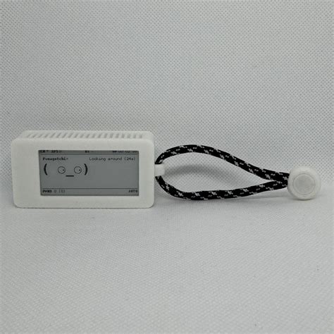Pwnagotchi Buy Pwnagotchi Pwnagotchi Kit What Is A Pwnagotchi
