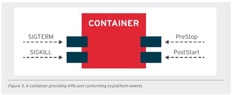 Virtualization And Containerization Good Design Principles